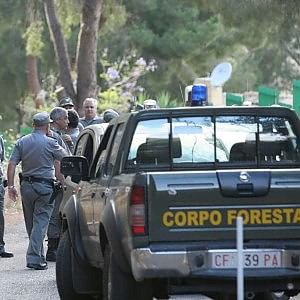 Sicilia, dal 24 al 27/10 concorso per Corpo Forestale della Regione ...