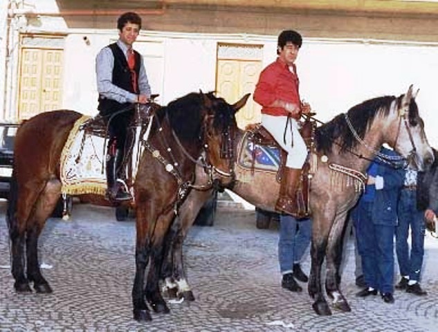 Cose Nostre, la storia dei fratelli Vaccaro Notte su Rai1 ...