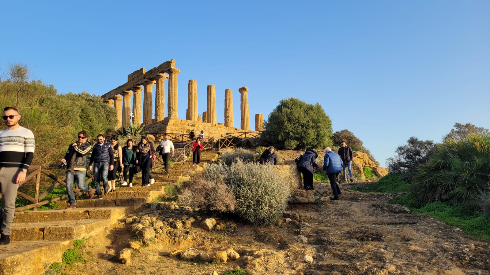 Ingresso gratuito Valle dei Templi e Museo Griffo: tra dei e giganti ...