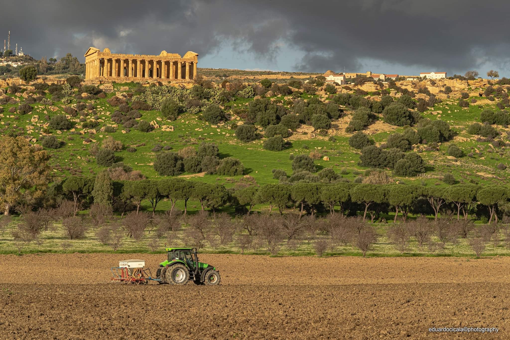 Esperienze di gusto alla Valle dei Templi: apre Casa Barbadoro ...