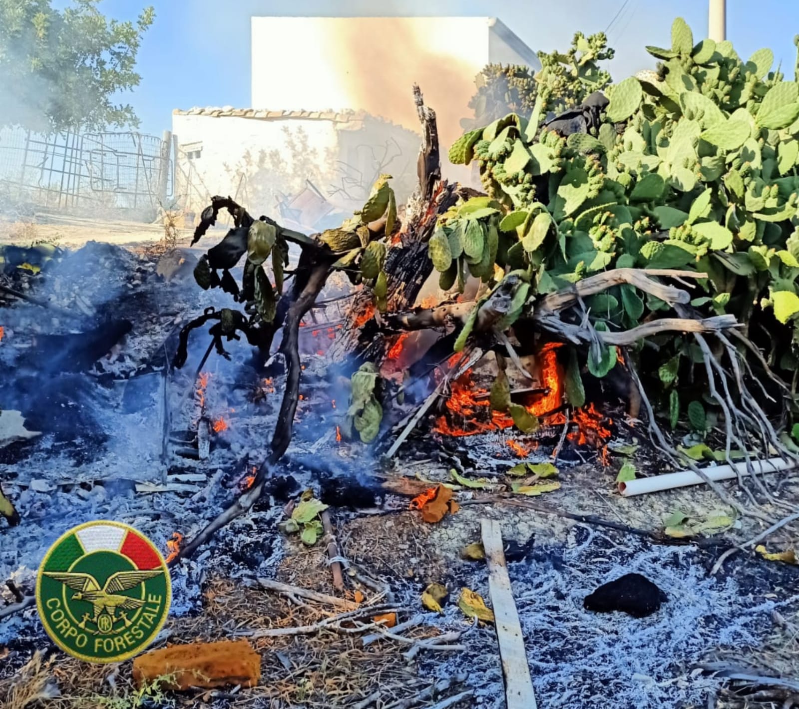 Porto Empedocle, incendio in un terreno: le fiamme lambiscono ...