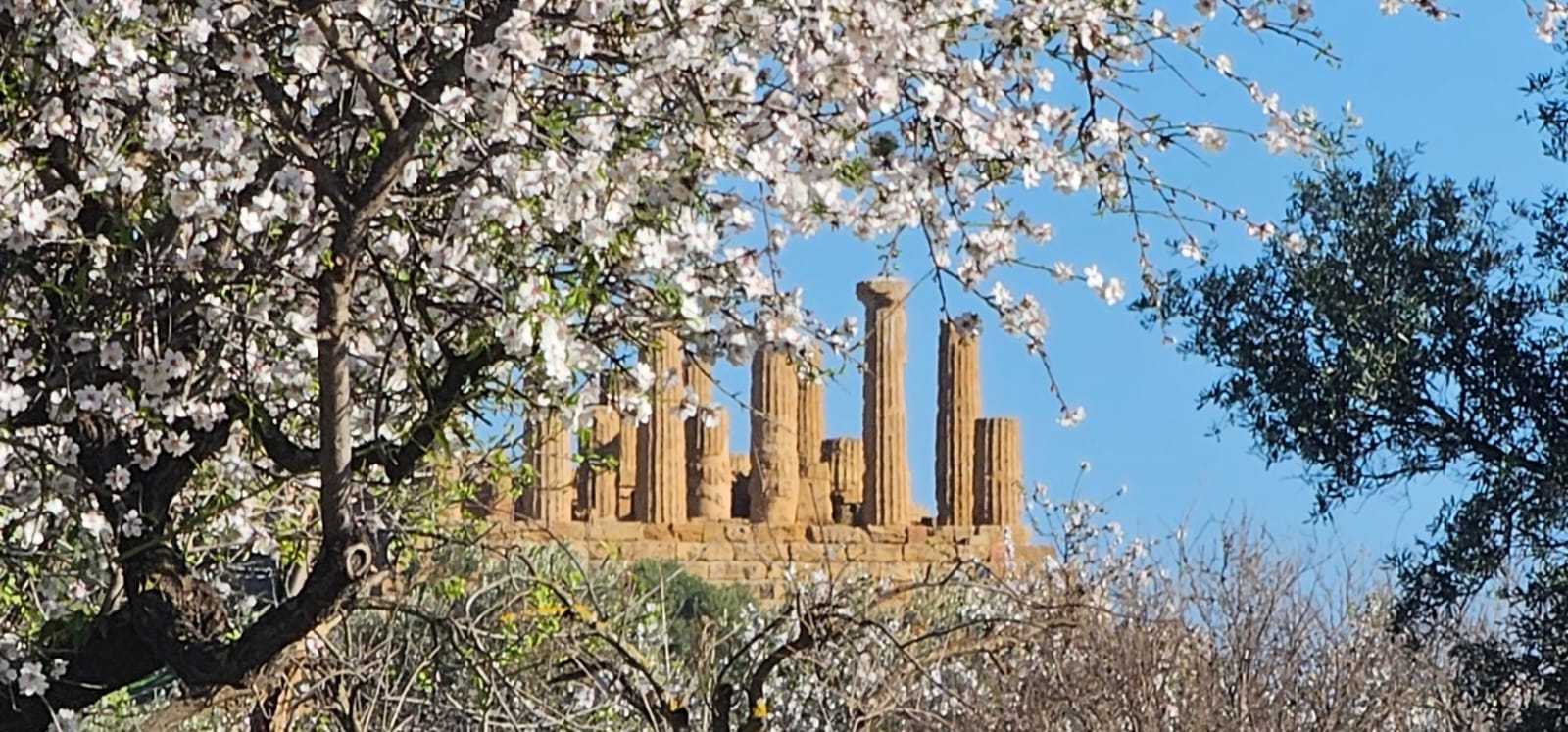 Boom di visitatori in Sicilia a Pasqua, quasi 6 mila in due giorni alla ...