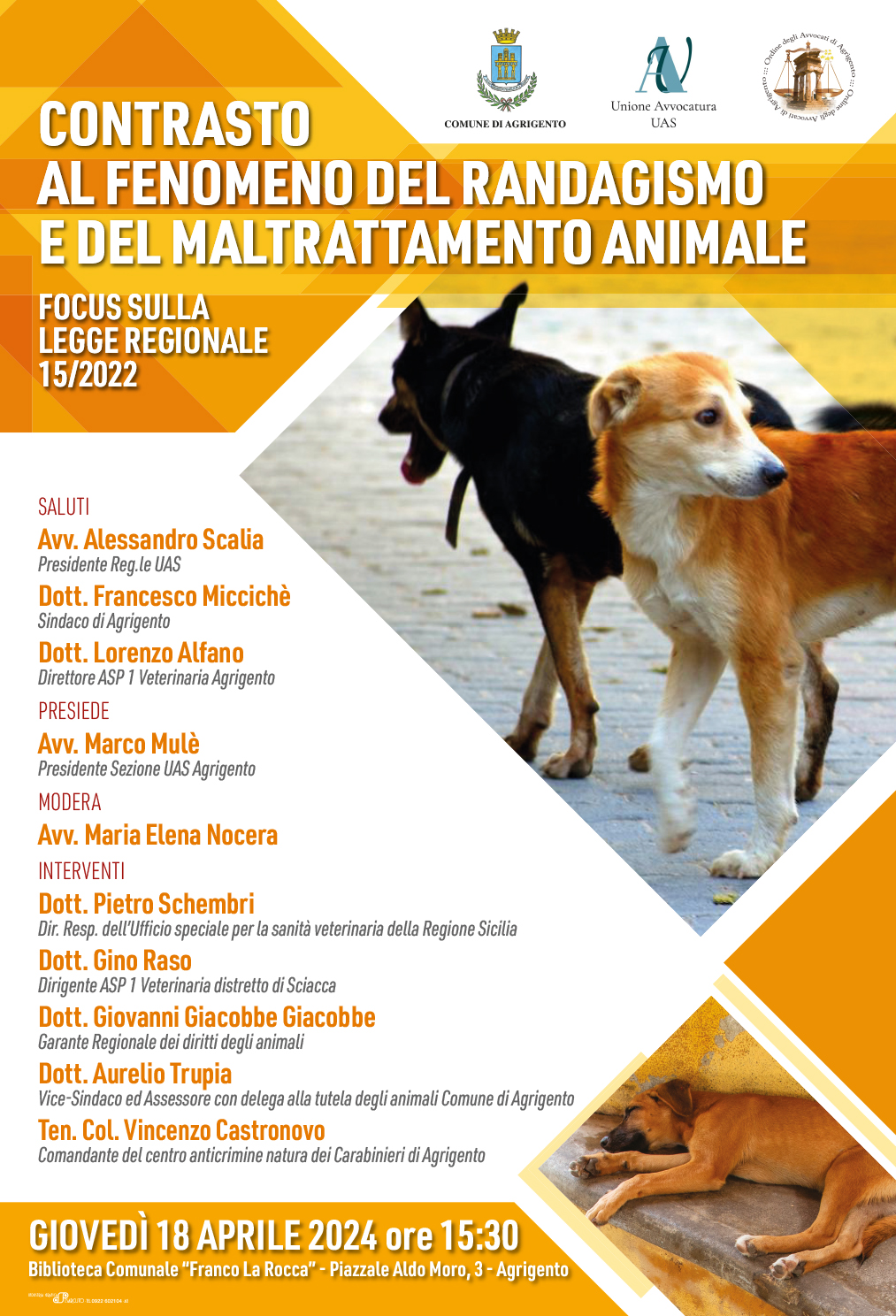 Ad Agrigento un incontro sul contrasto al fenomeno del randagismo ...