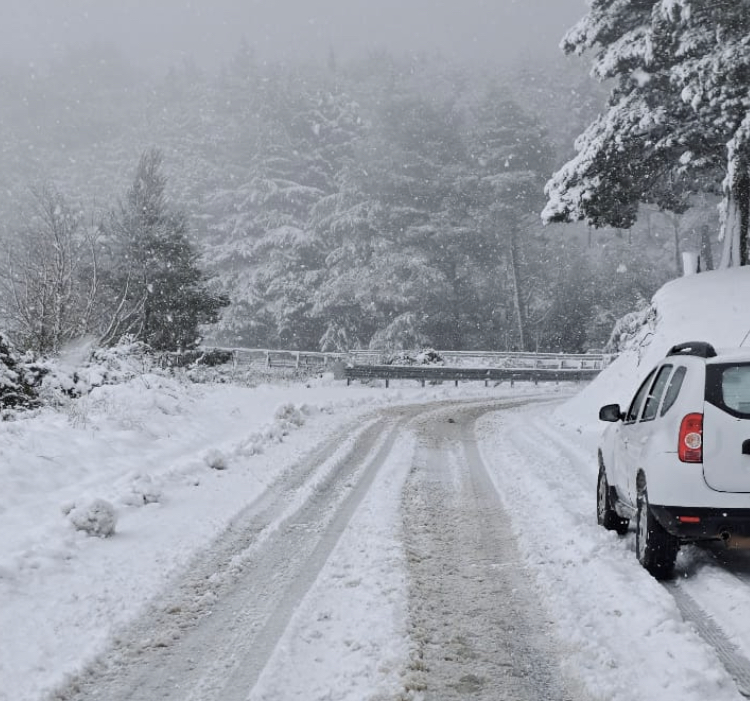 La neve imbianca le strade di Cammarata e Santo Stefano Quisquina: il ...